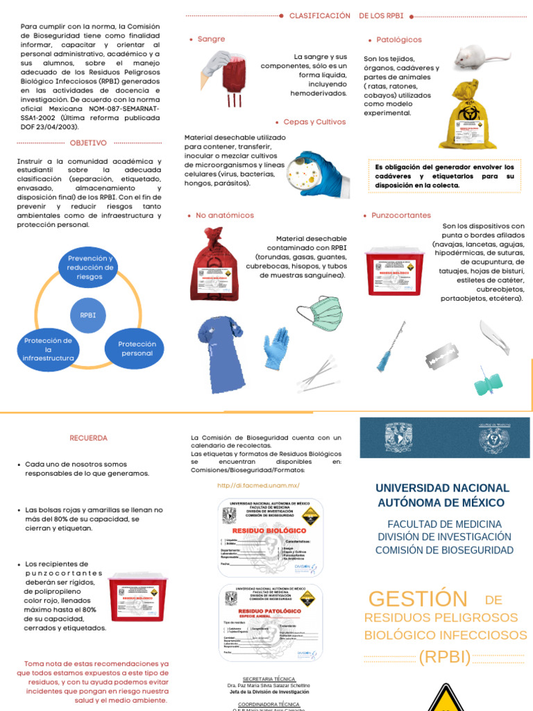 Folleto RPBI | PDF | Especialidades Medicas