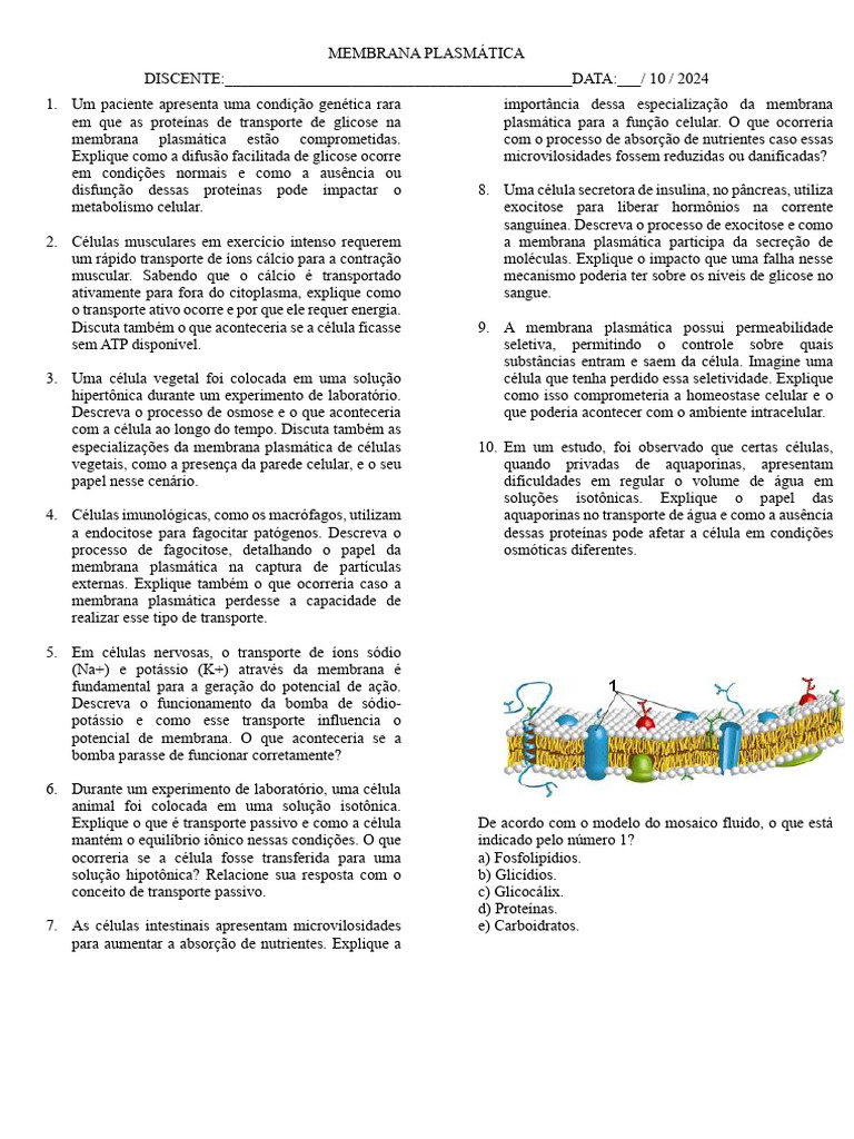 Atividade Membrana Plasmática - Imprimir | PDF | Membrana celular | Célula (Biologia)