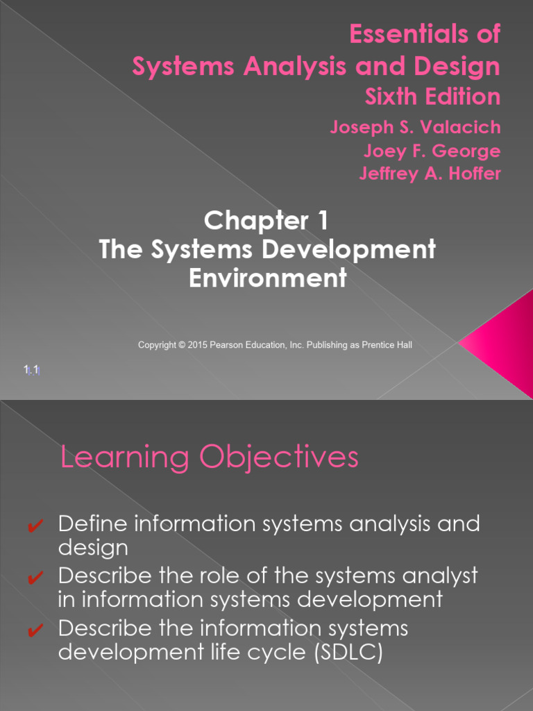 Valacich Esad6e PP Ch01 | PDF | System | Software