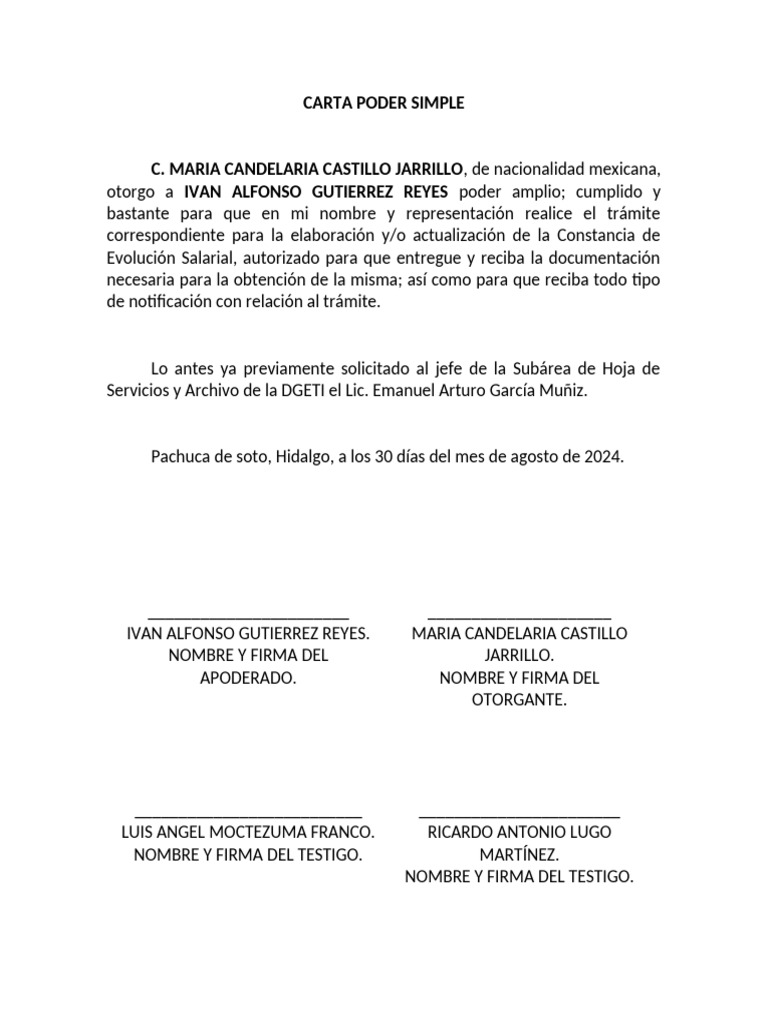 CARTA PODER DGTI | PDF