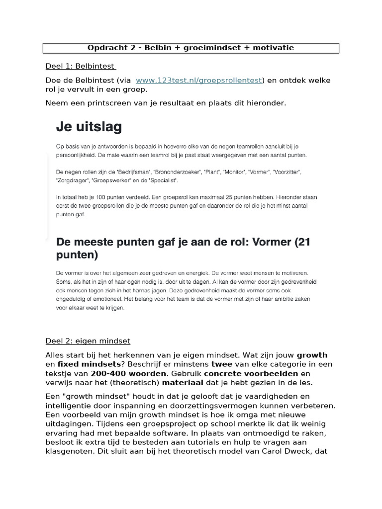 Opdracht 2 Belbin Groeimindset Motivatie | PDF