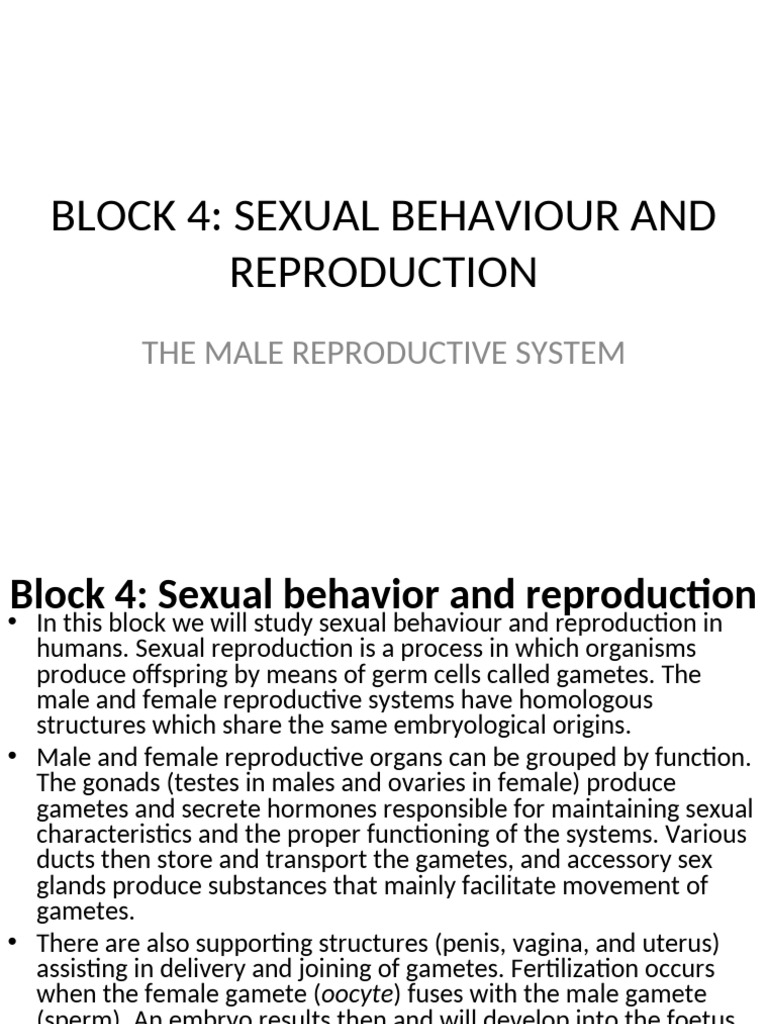 On Topic 7 Male Reproductive System | PDF | Testicle | Luteinizing Hormone