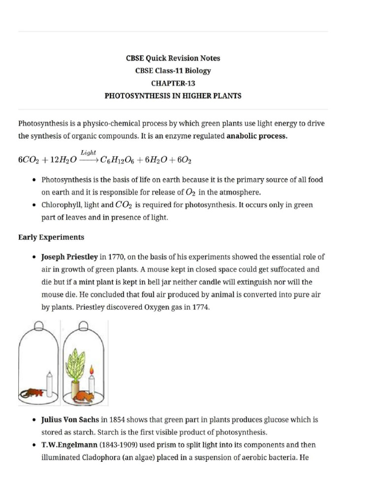 Photosynthesis | PDF