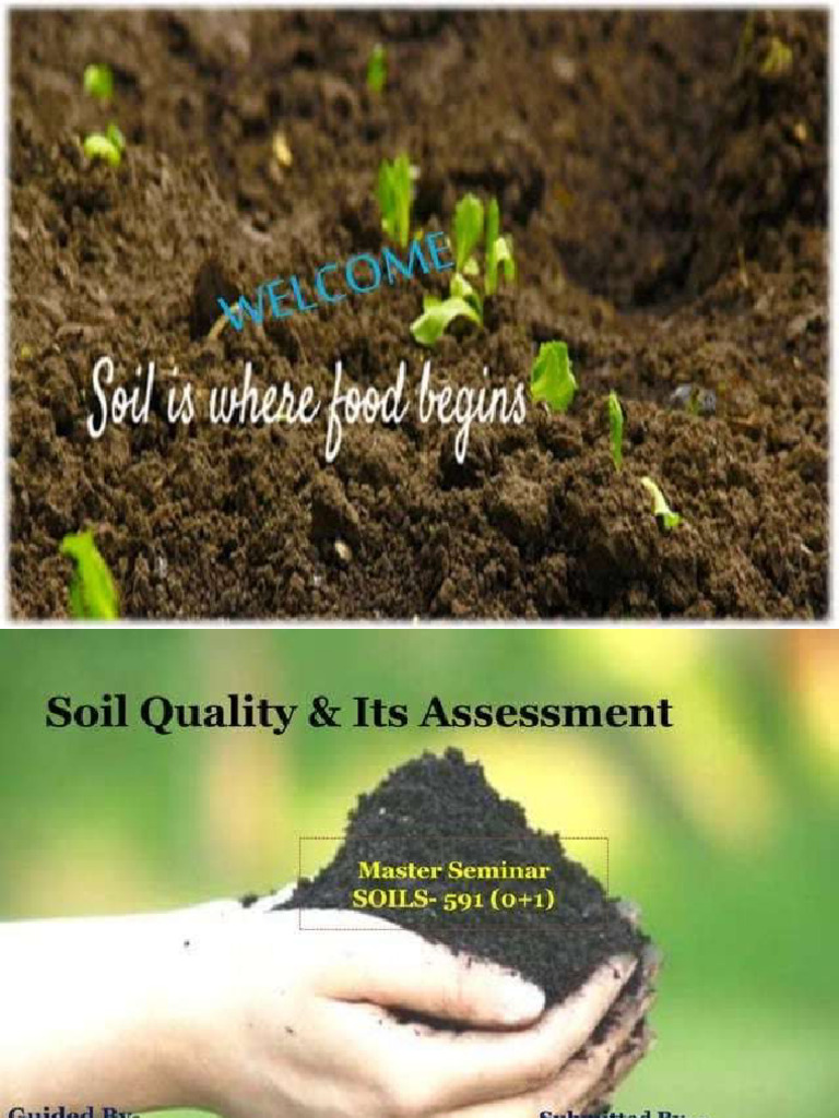 7aab2e7f-643d-42fb-a364-8193a1c09ad7 | PDF