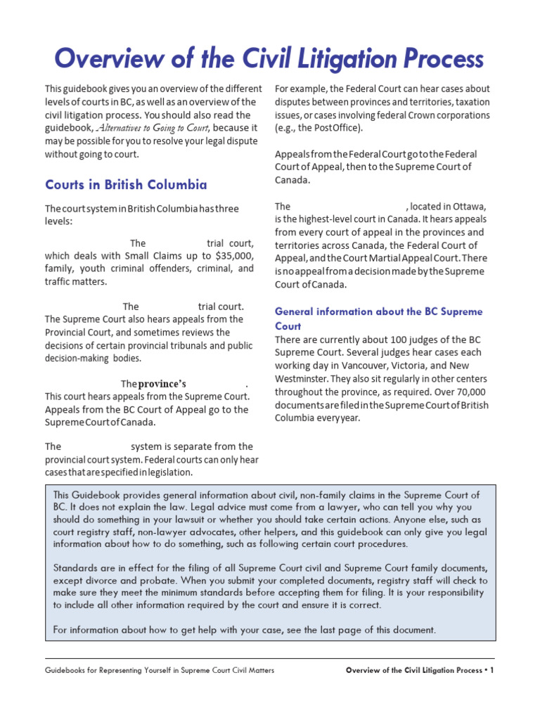 Overview-of-the-Civil-Litigation-Process | PDF | Lawsuit | Court System ...