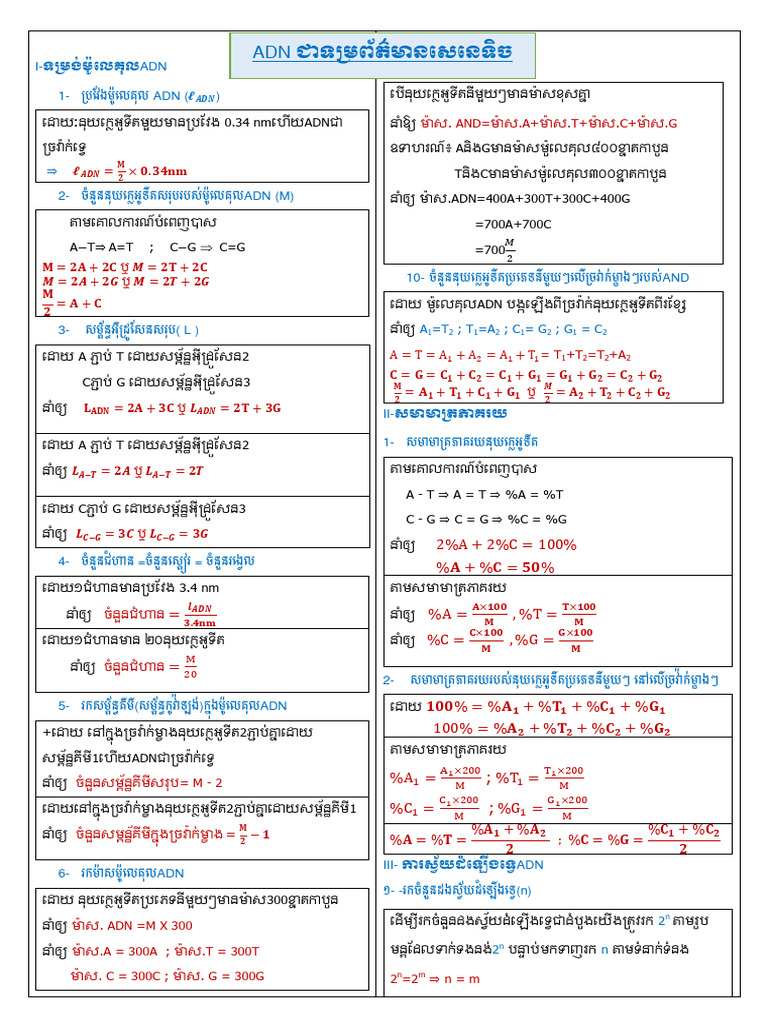 ADN&ARN | PDF