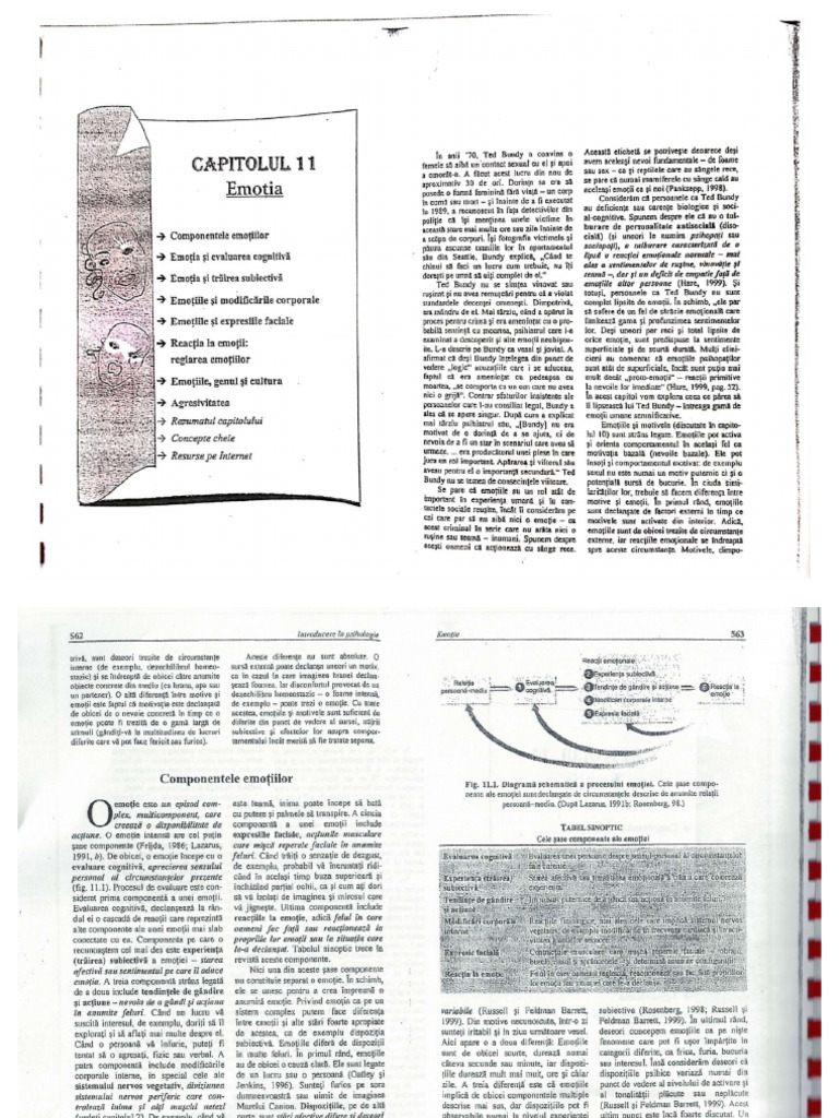 Capitol Comprimat Emoția | PDF