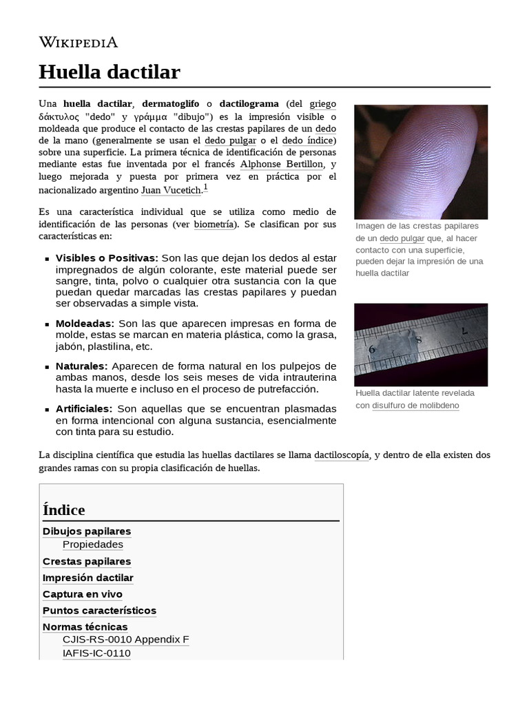 Huellas Dactilares: Identificación y Tipos | PDF | Huella dactilar ...