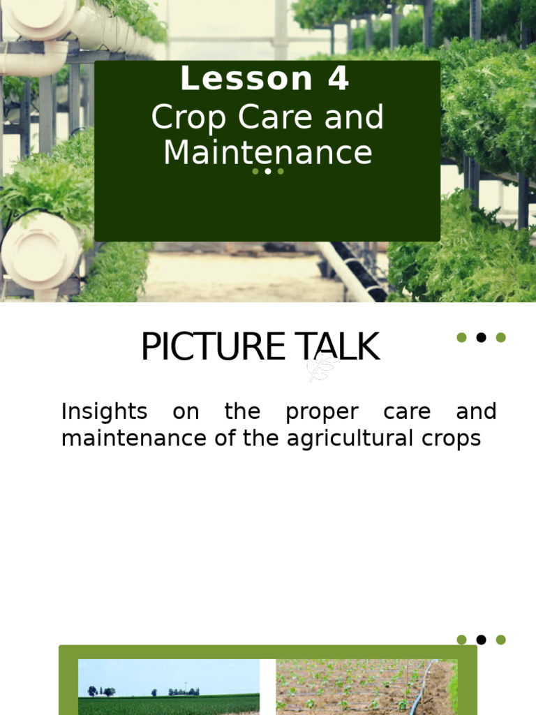 Lesson 4 - Crop Care and Maintenance | PDF | Agriculture | Weed