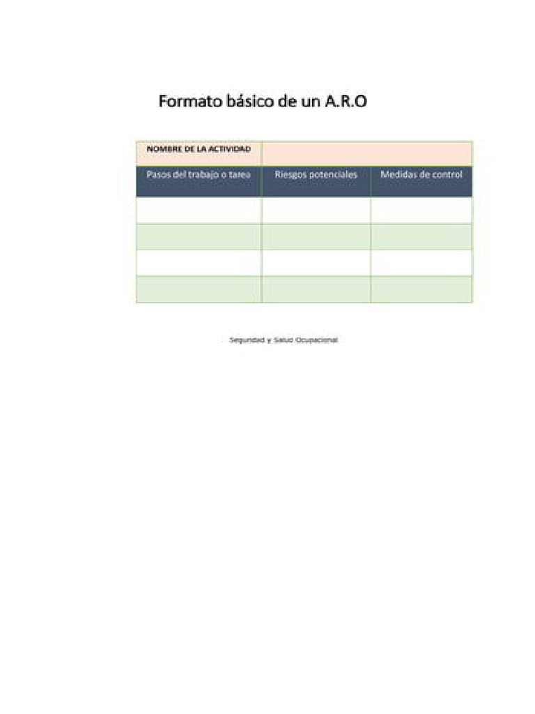 Formato ARO | PDF