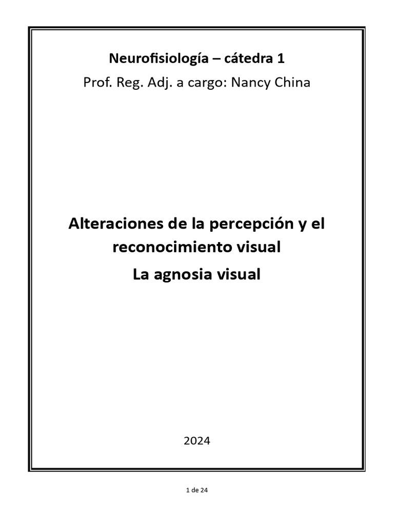 2024 Práctico 6 Alteraciones de La Percepción y El Reconocimiento Visual Agnosia Visual | PDF ...