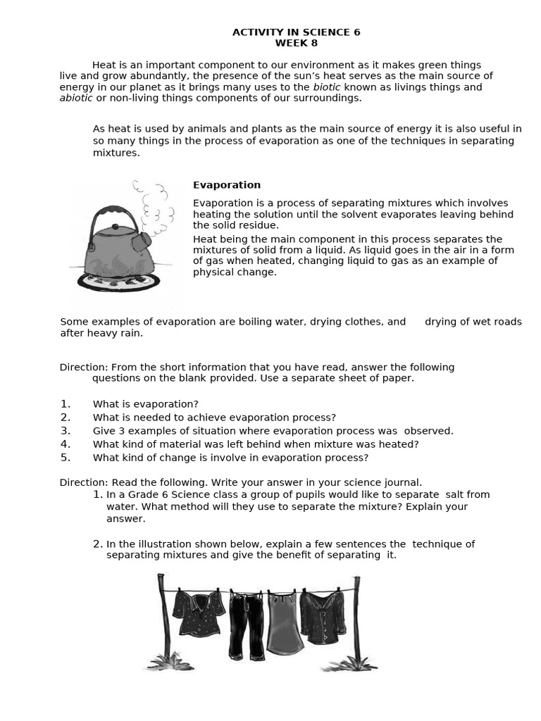 Activity Grade 6 | PDF