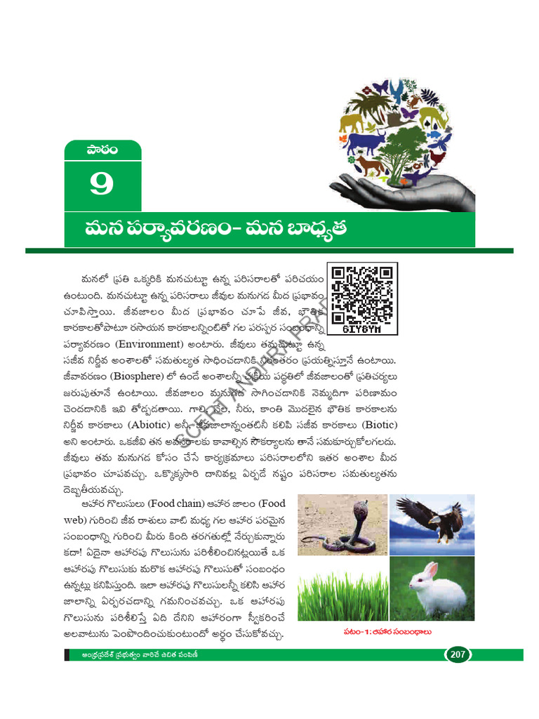 Our Environment - Our Responsibility | PDF