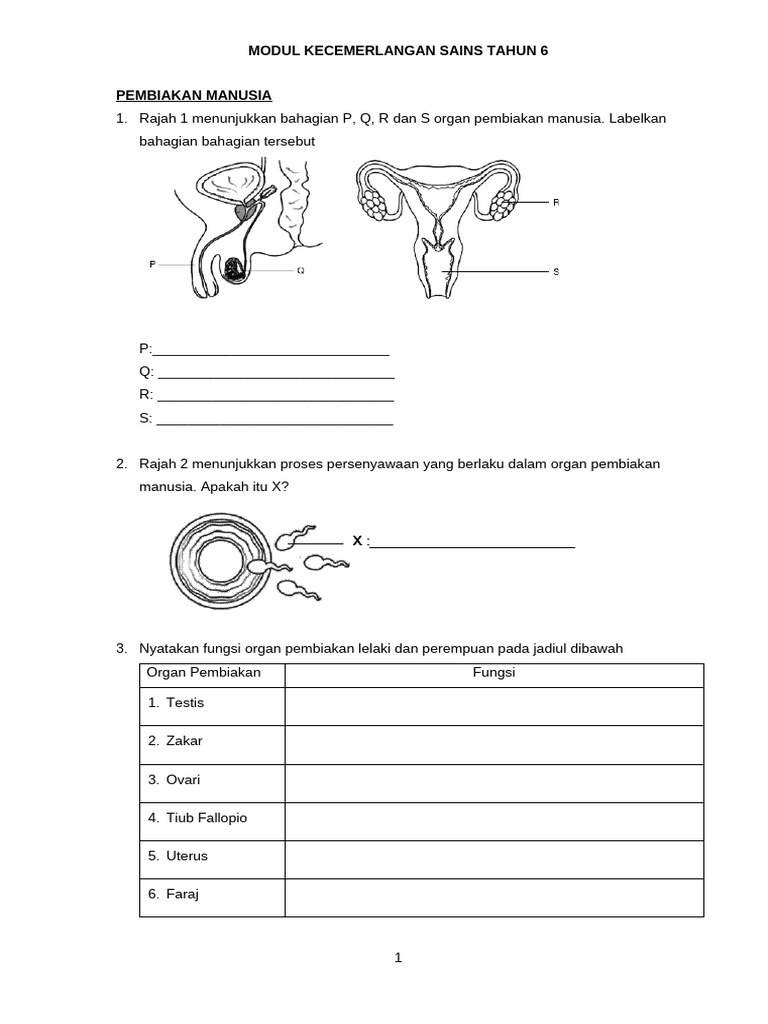 Modul Sains Tahun 6 | PDF