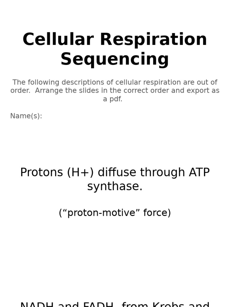 Cellular Respiration Process Steps | PDF