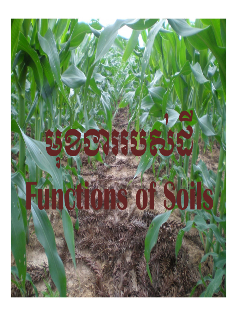 Lecture 2 - Functions of Soils | PDF