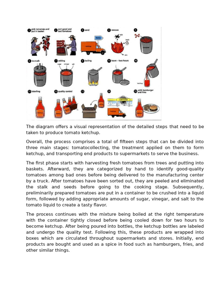 Tomato Ketchup | PDF