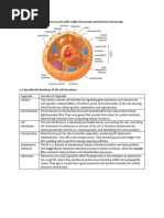 Samson Notes ALL IN ONE | PDF | Immune System | Axon