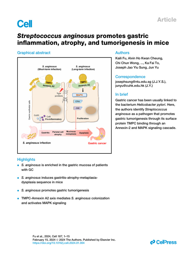 2024 45.5 Streptococcus anginosus promotes gastric inflammation ...