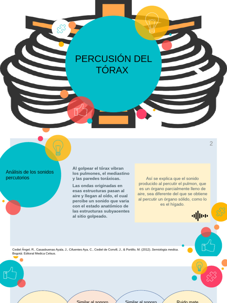 Tórax, Percusion y Auscultacion | PDF | Color | Blue