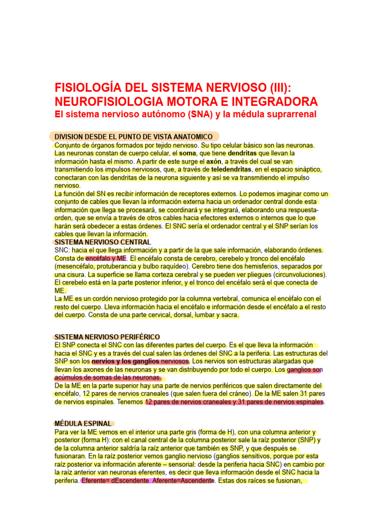 Fisio SN Funcion Motora e Integradora | PDF | Cerebro | Sistema nervioso