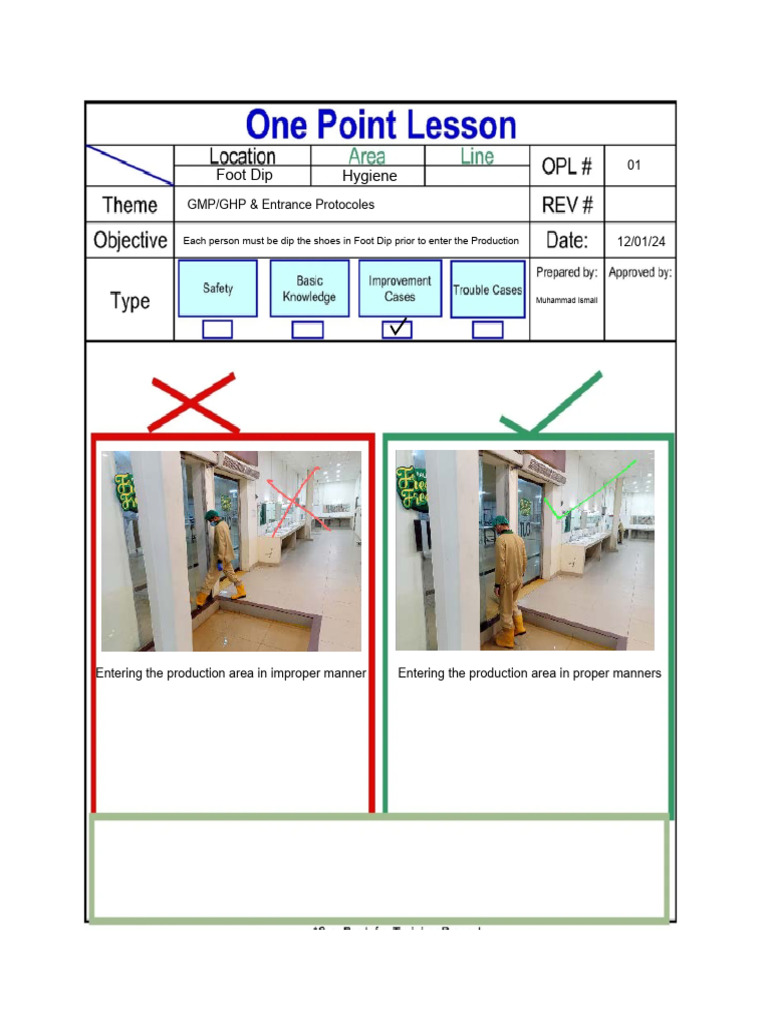 Foot Dip Hygiene Protocols for Production | PDF
