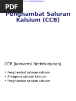 OBAT GOLONGAN CALCIUM CHANEL BLOCKER (CCB) | PDF