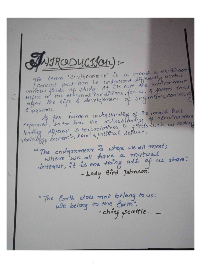 Environment Project | PDF