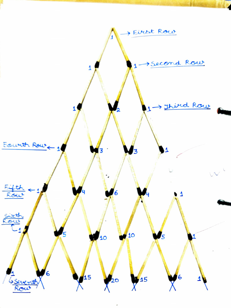 Remaining Activities Class 11 | PDF