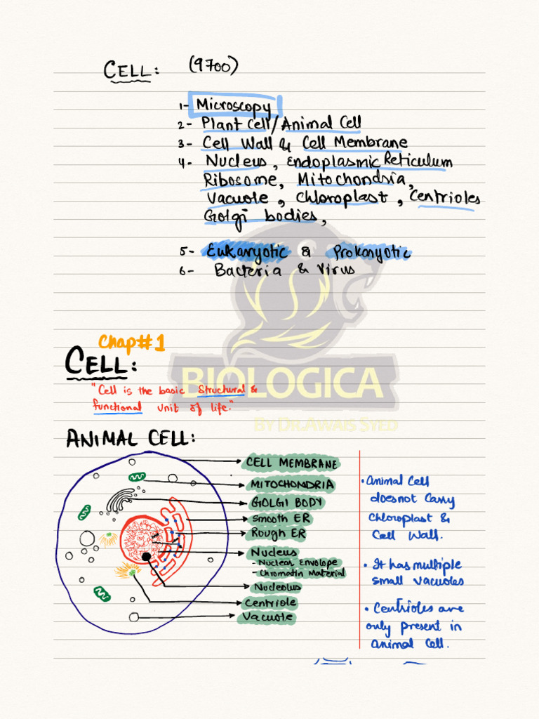 1.cell Structure As (2023 Complete) | PDF | Endoplasmic Reticulum ...