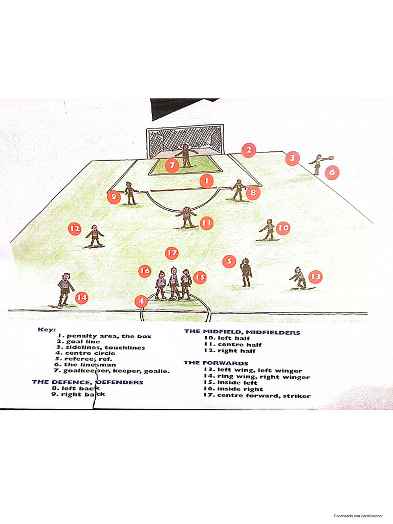Football Vocabulary | PDF
