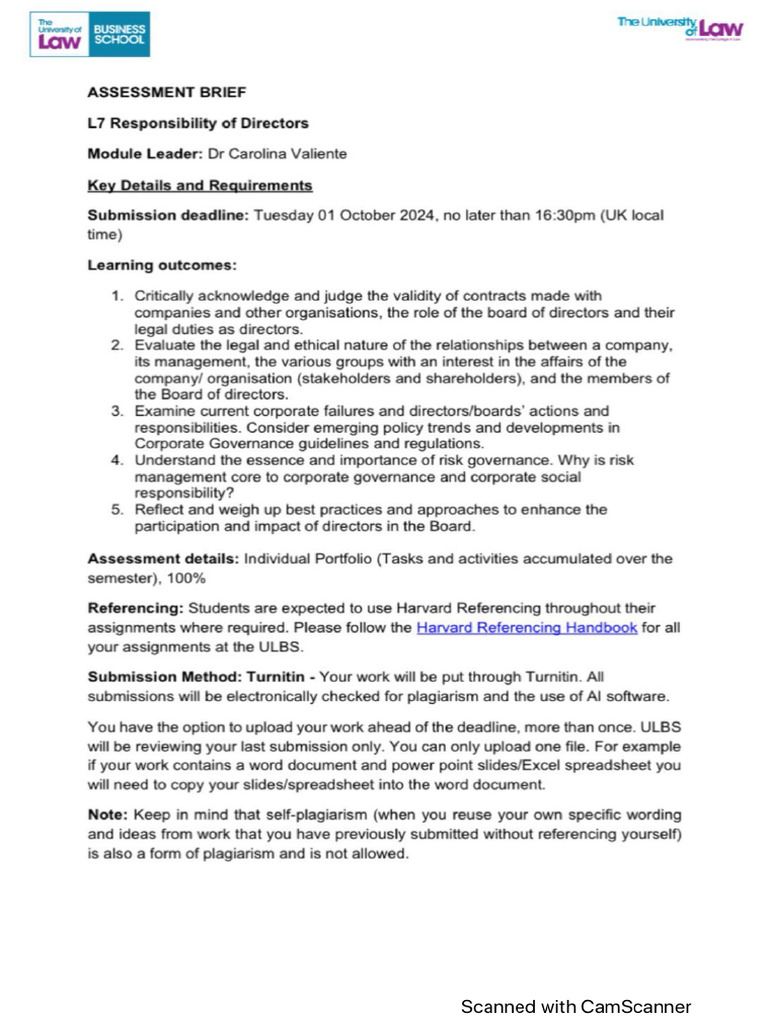 Responsibility of Directors | PDF