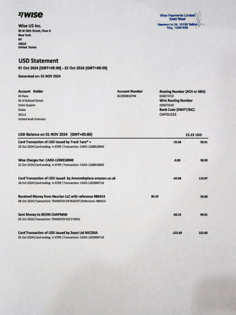 wise bank statement | PDF