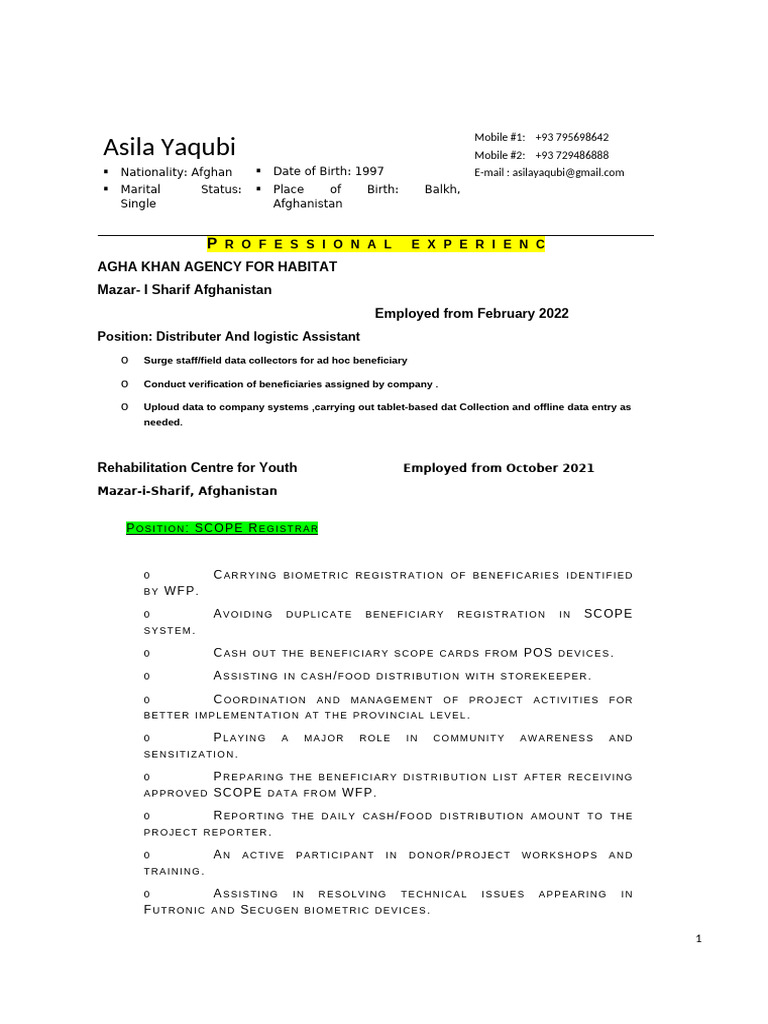 Cv template | PDF | Information Technology | Computing