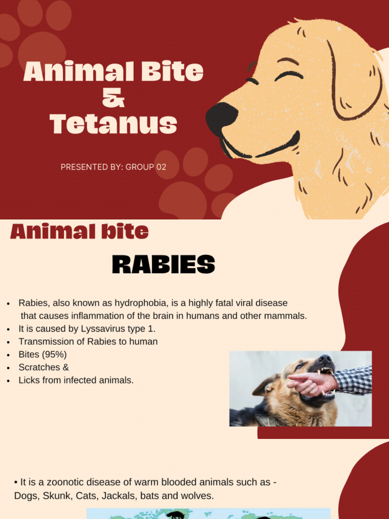 Animal Bite Tetanus PDF | PDF