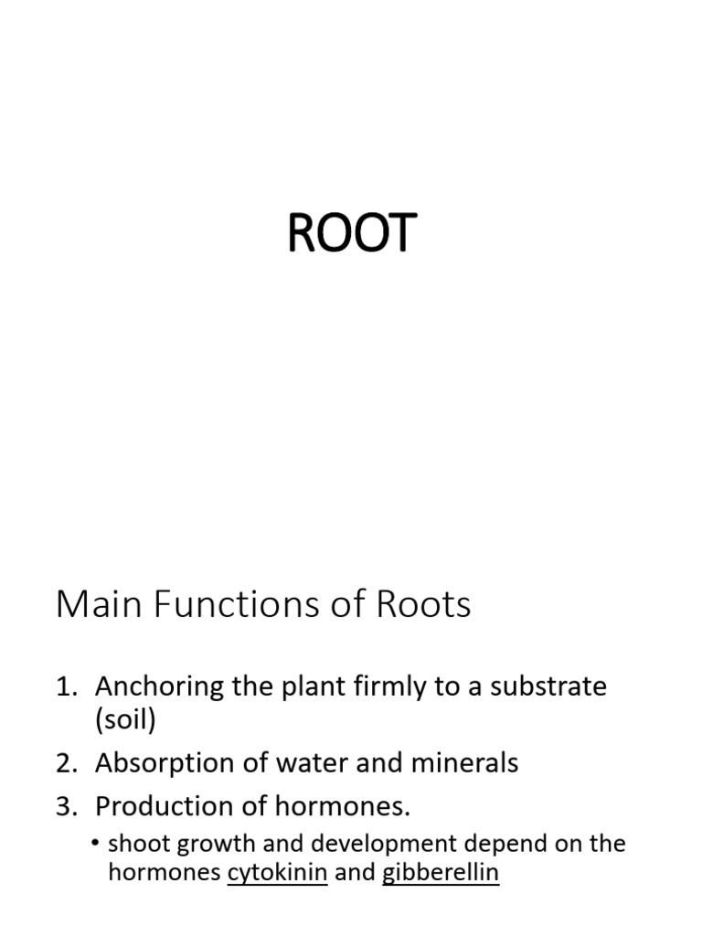 ? Botany 10 - Roots | PDF | Root | Tissue (Biology)
