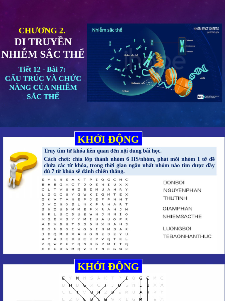 Bài 7- Cấu Trúc Và Chức Năng Của Nst | PDF