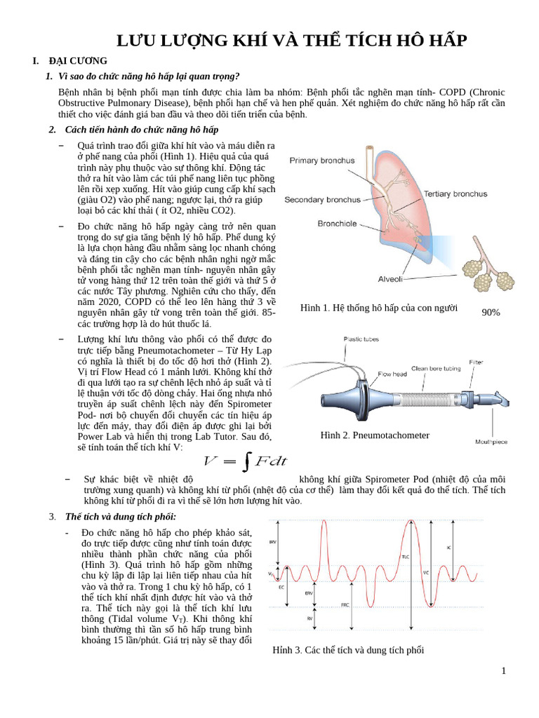 TTSL Ho Hap Ky | PDF