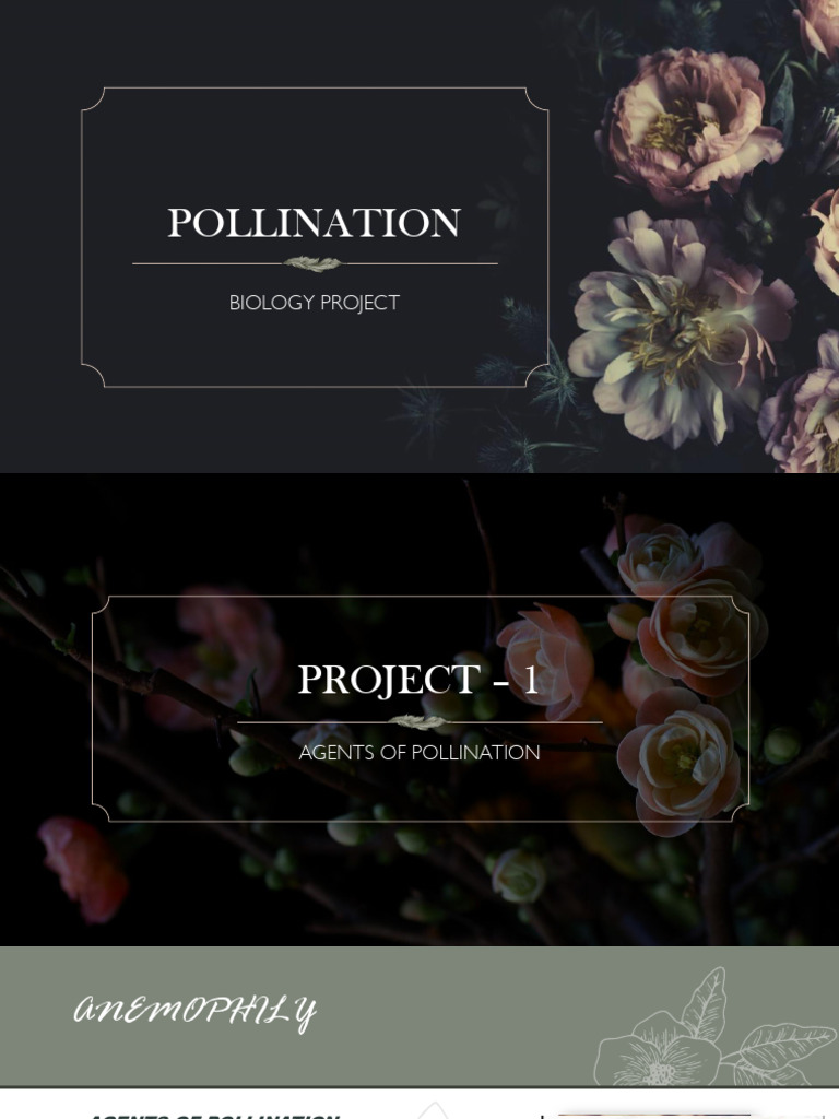 Pollination Pdf Flowers Pollination