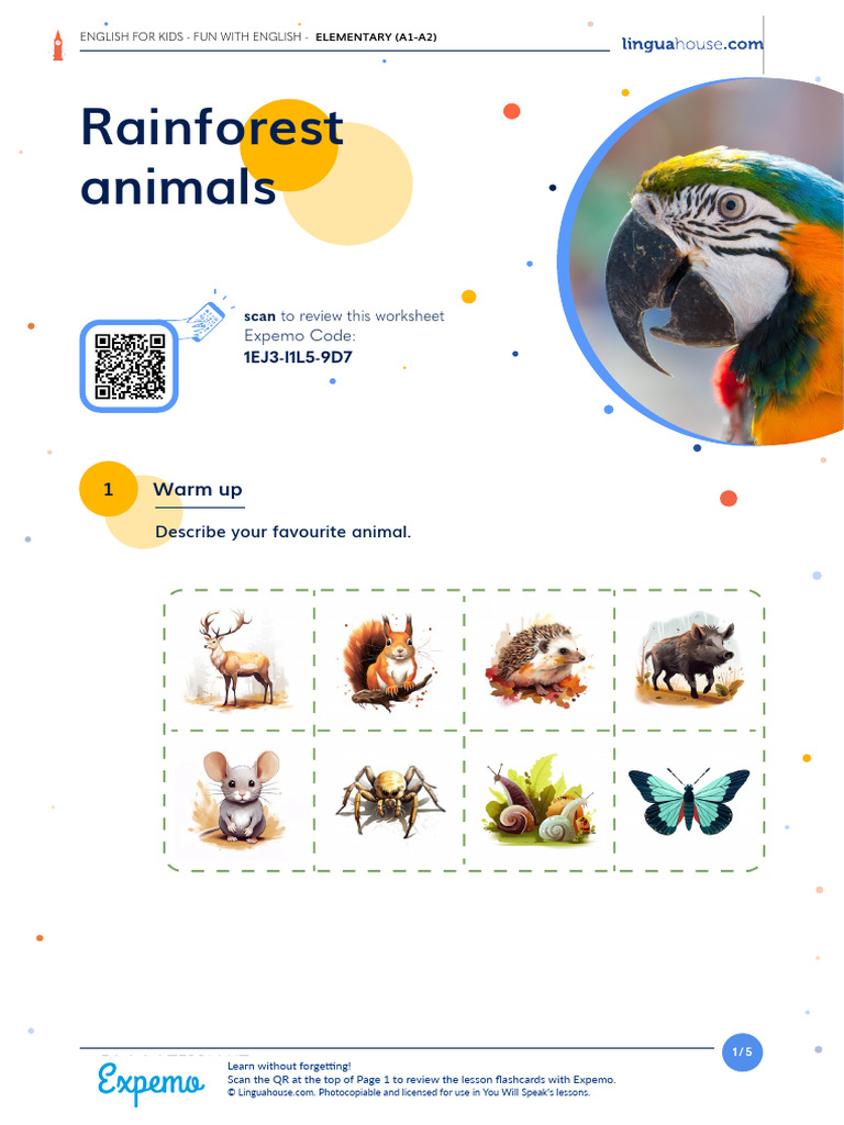 Rainforest Animals British English Teacher A1 A2 | PDF | Language Arts ...