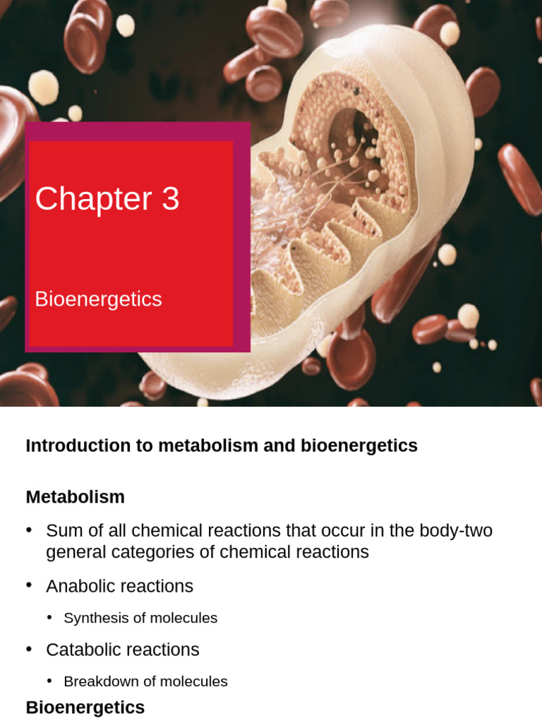 Chapter3 Bioenergetics | PDF | Cellular Respiration | Adenosine Triphosphate
