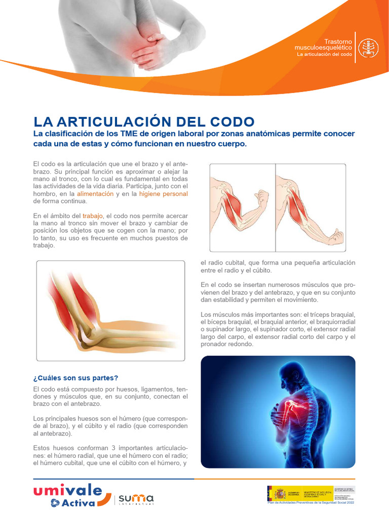 La Articulacion Del Codo | PDF | Codo | Mano
