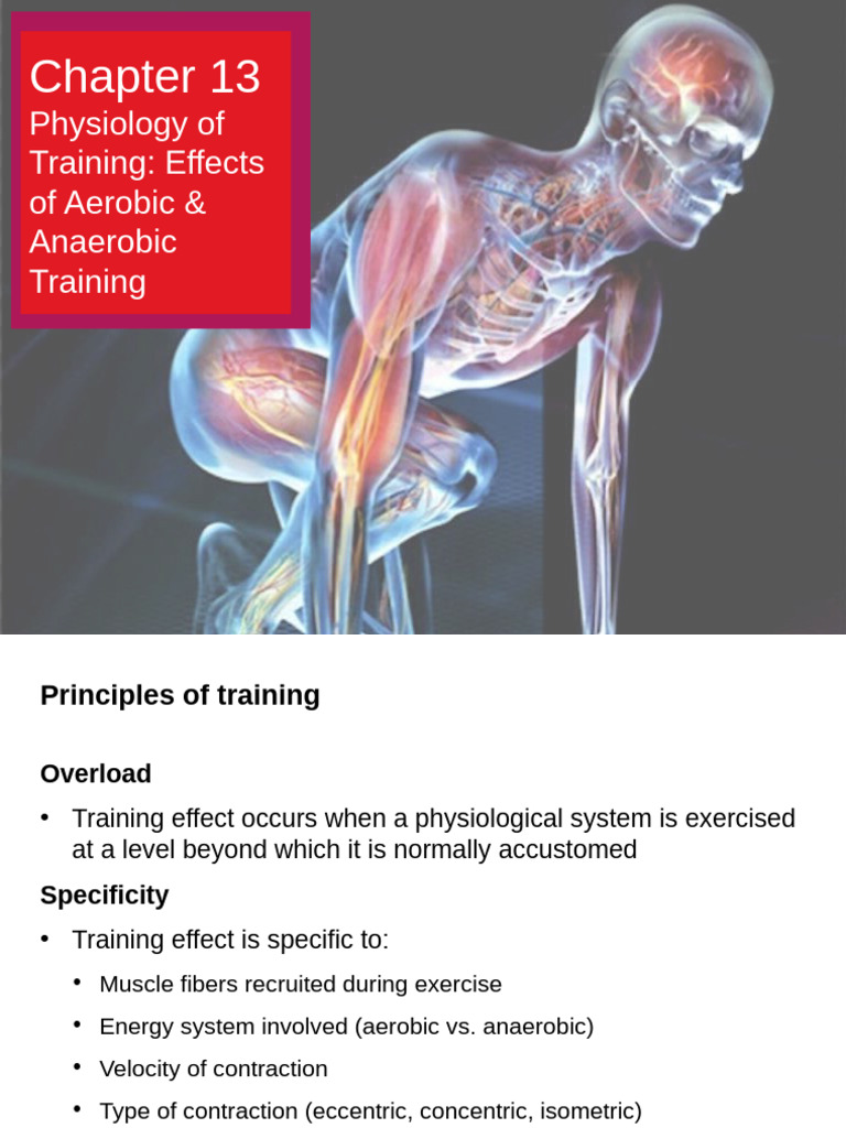 Endurance Training Effects on VO2 Max | PDF | Signal Transduction ...