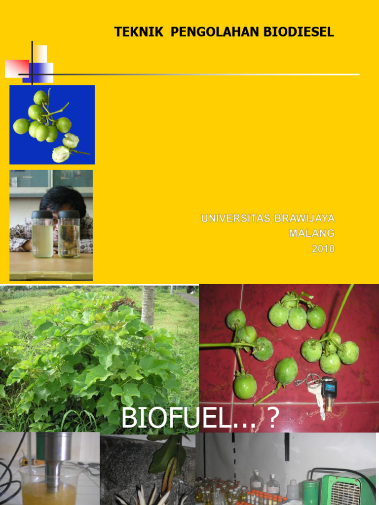 Kuliah 2 Bioenergi Teknik Pengolahan Biodiesel | PDF