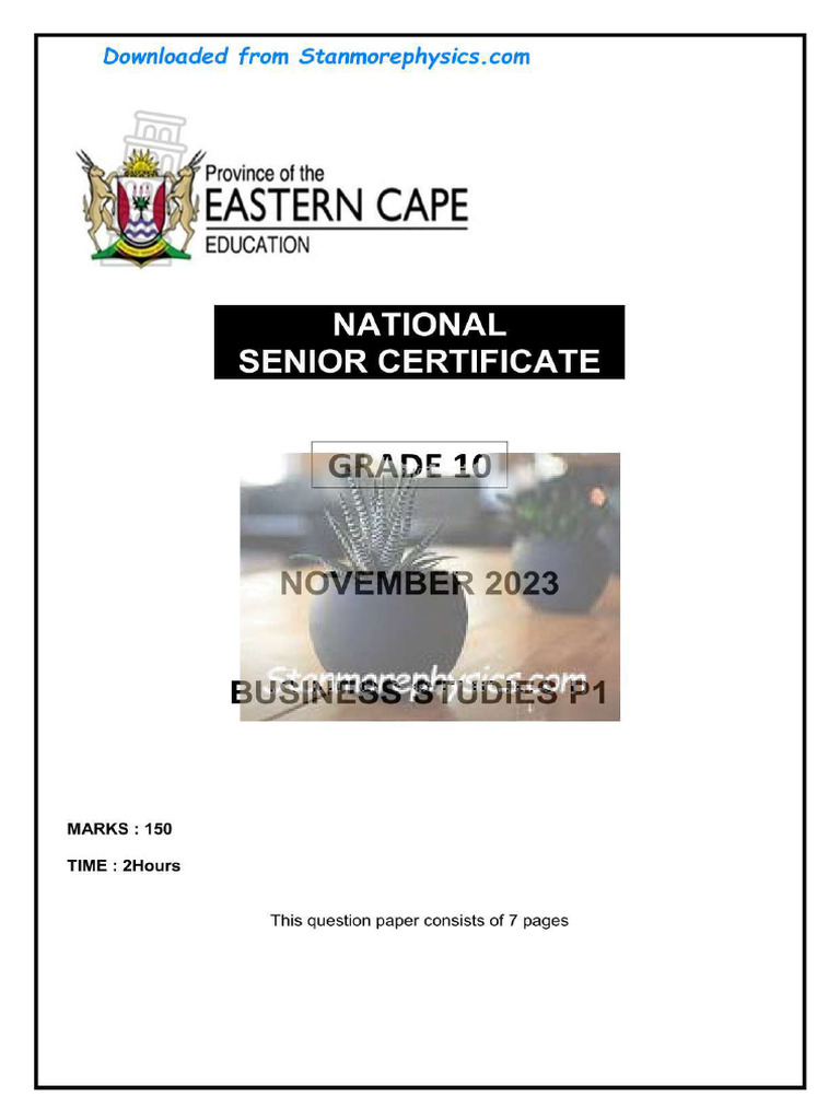 EC Business Studies Grade 10 November 2023 P1 and Memo | PDF