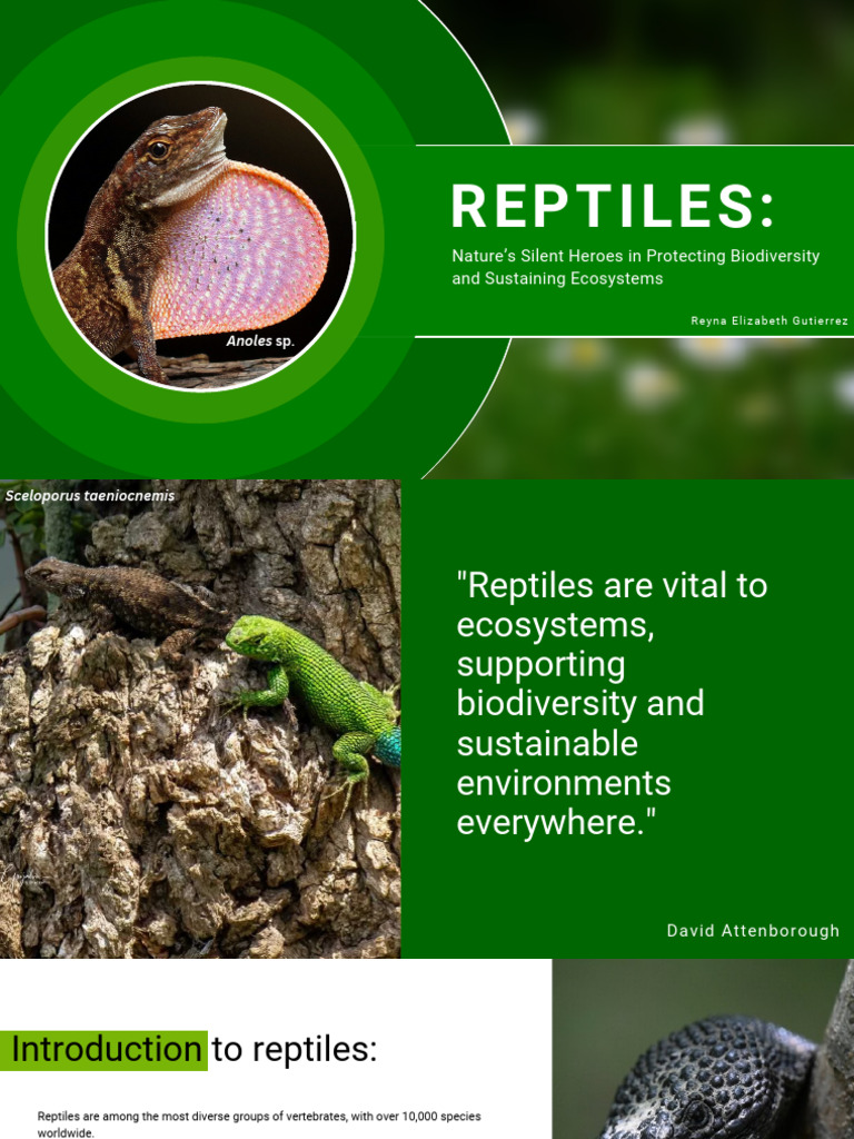 Reptiles Nature's Silent Heroes in Protecting Biodiversity and ...