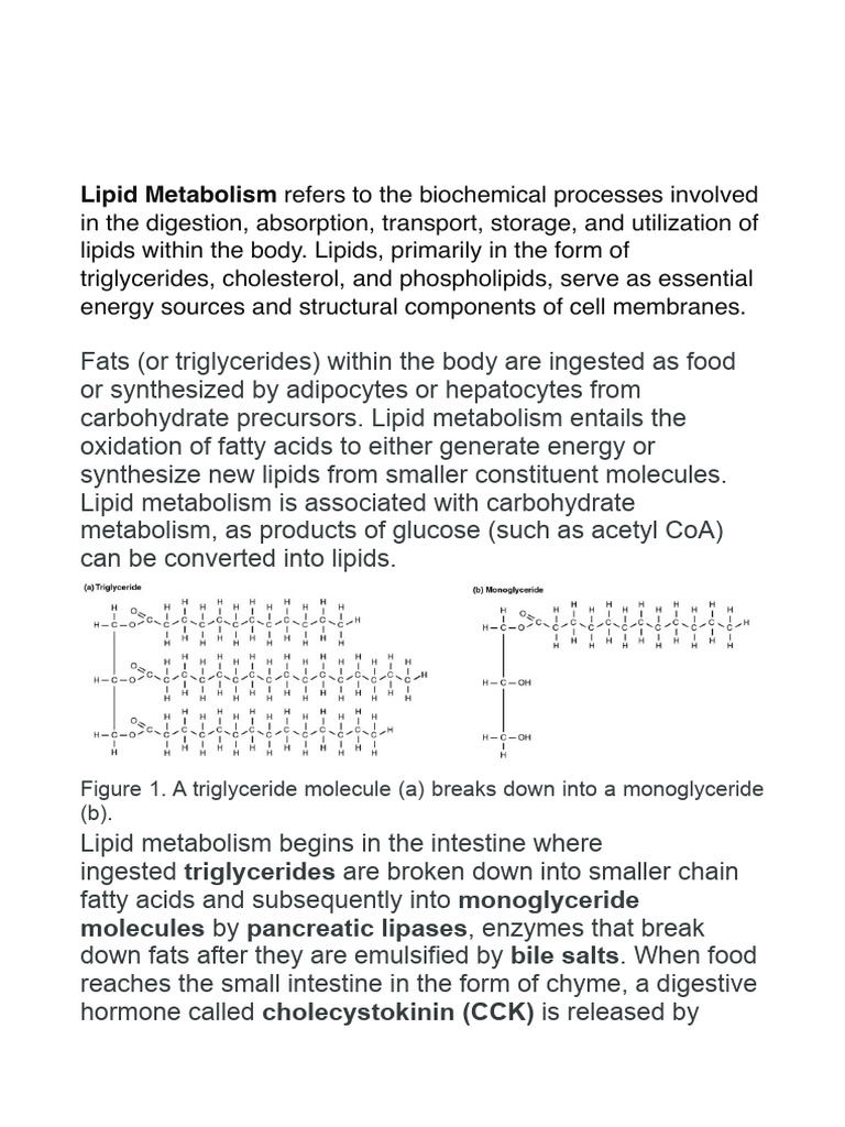 Physiosource Lipid Metabolism | PDF | Lipoprotein | Lipid
