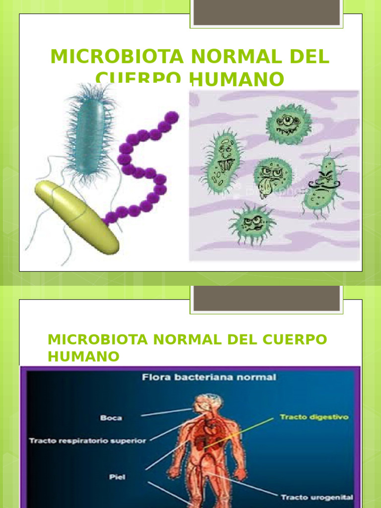 Microbiota Humana: Flora Normal | PDF | Microbiología | Especialidades Medicas