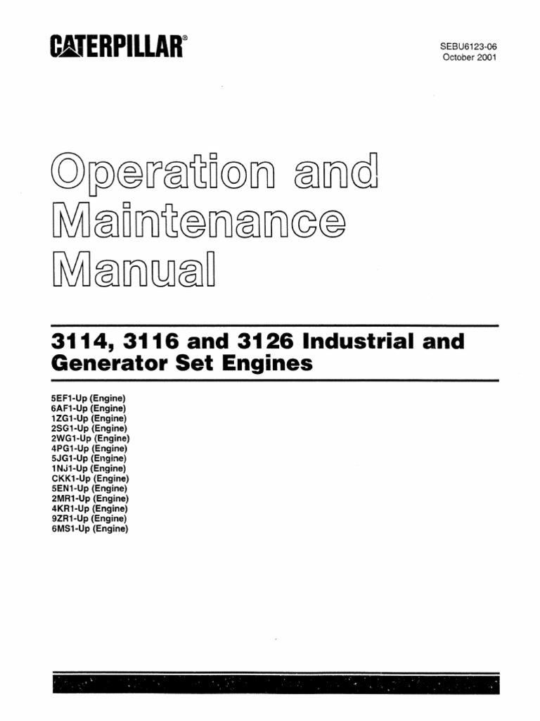 Motor 3126 - Cat | PDF