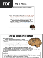 Slums | PDF | Geriatric Psychiatry | Cognitive Science